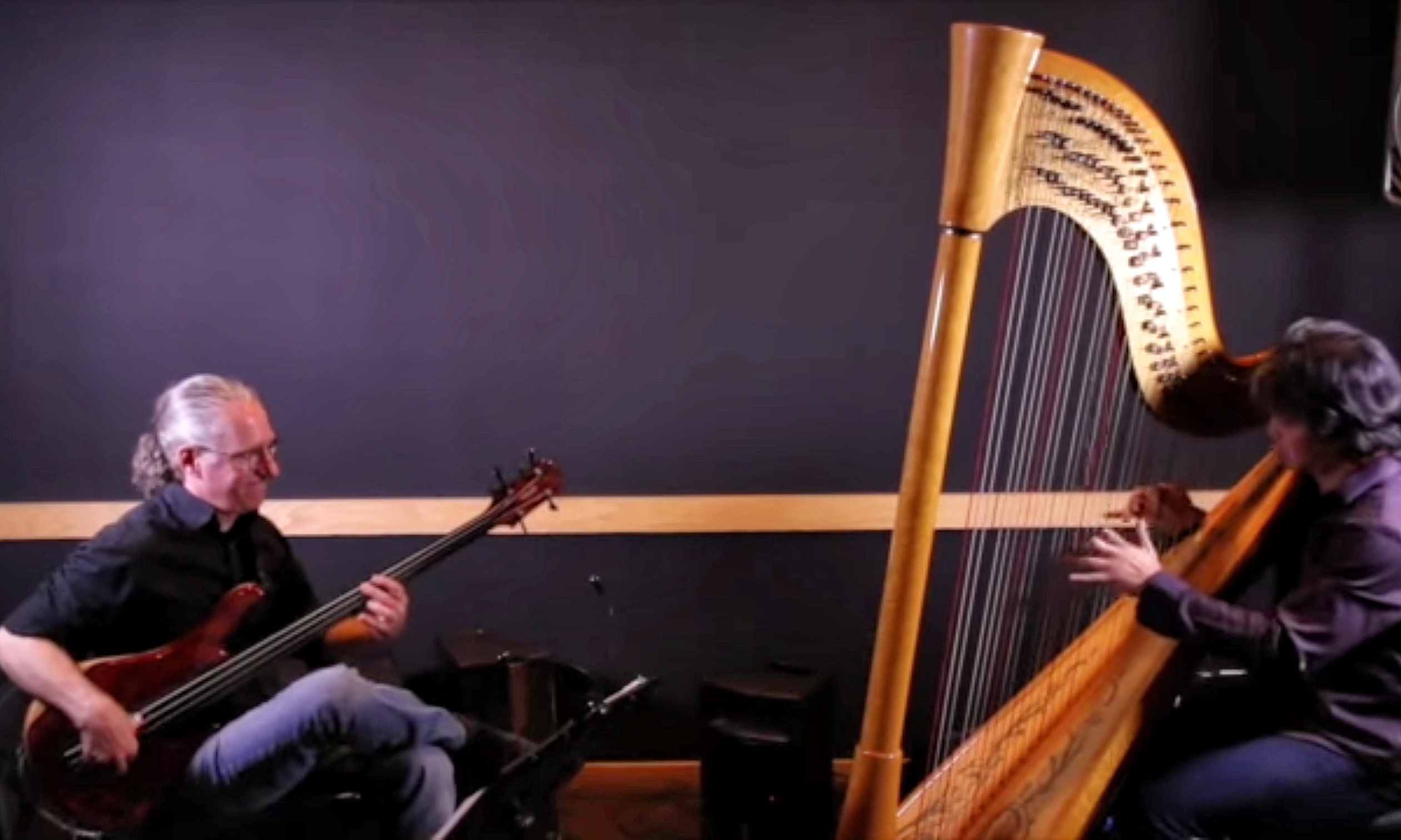 Michael Manring und Motoshi Kosako: Duett mit E-Bass und Harfe! - Bonedo