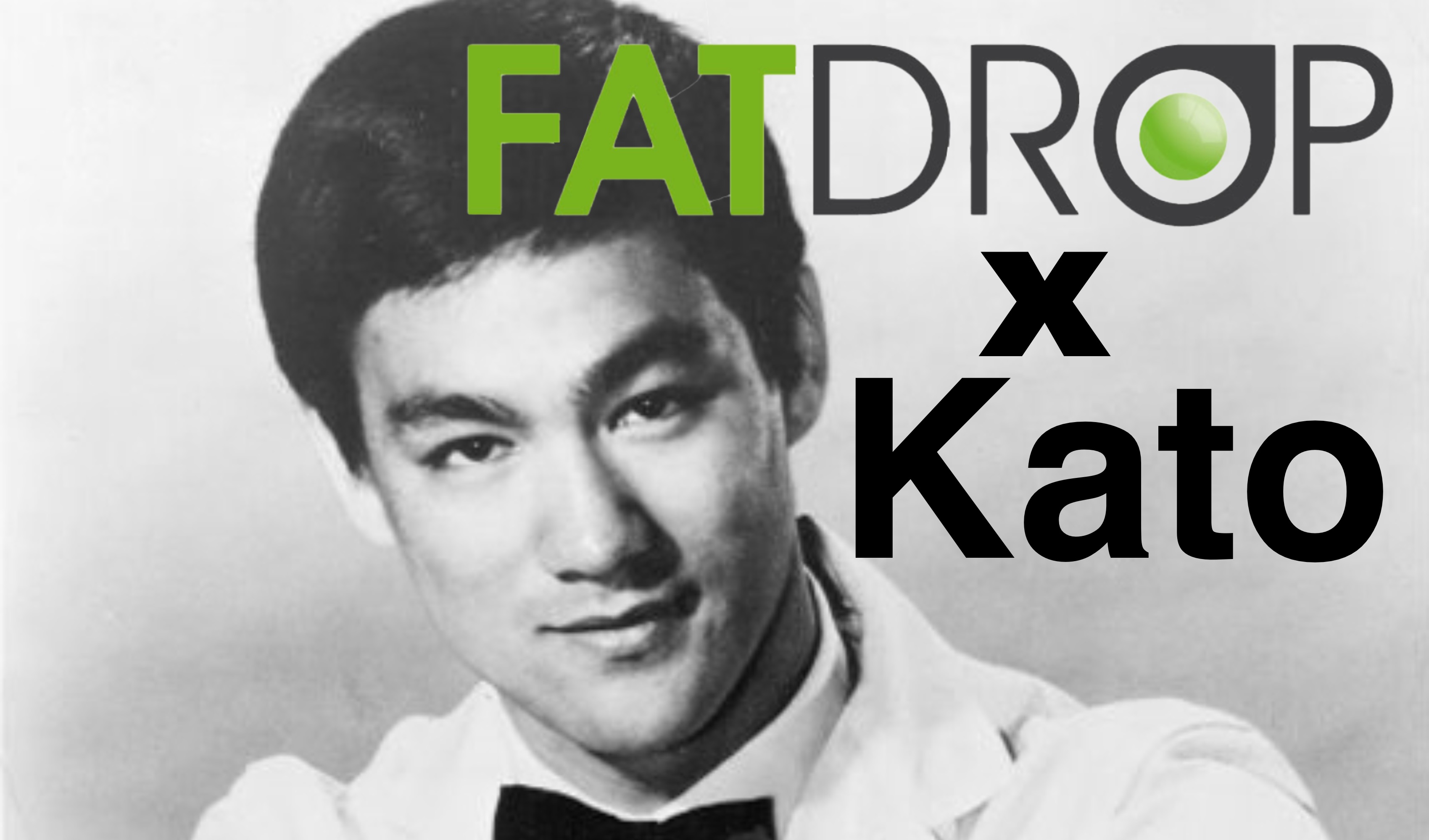 Kato von Fatdrop gibt Hype Tipps via KI-Assistent - Bonedo