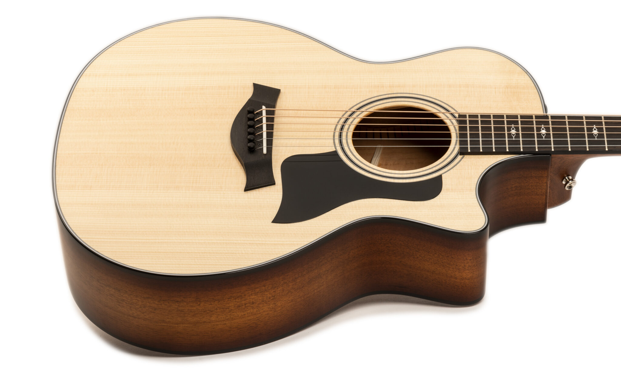 Bonedo - Das Musikerportal