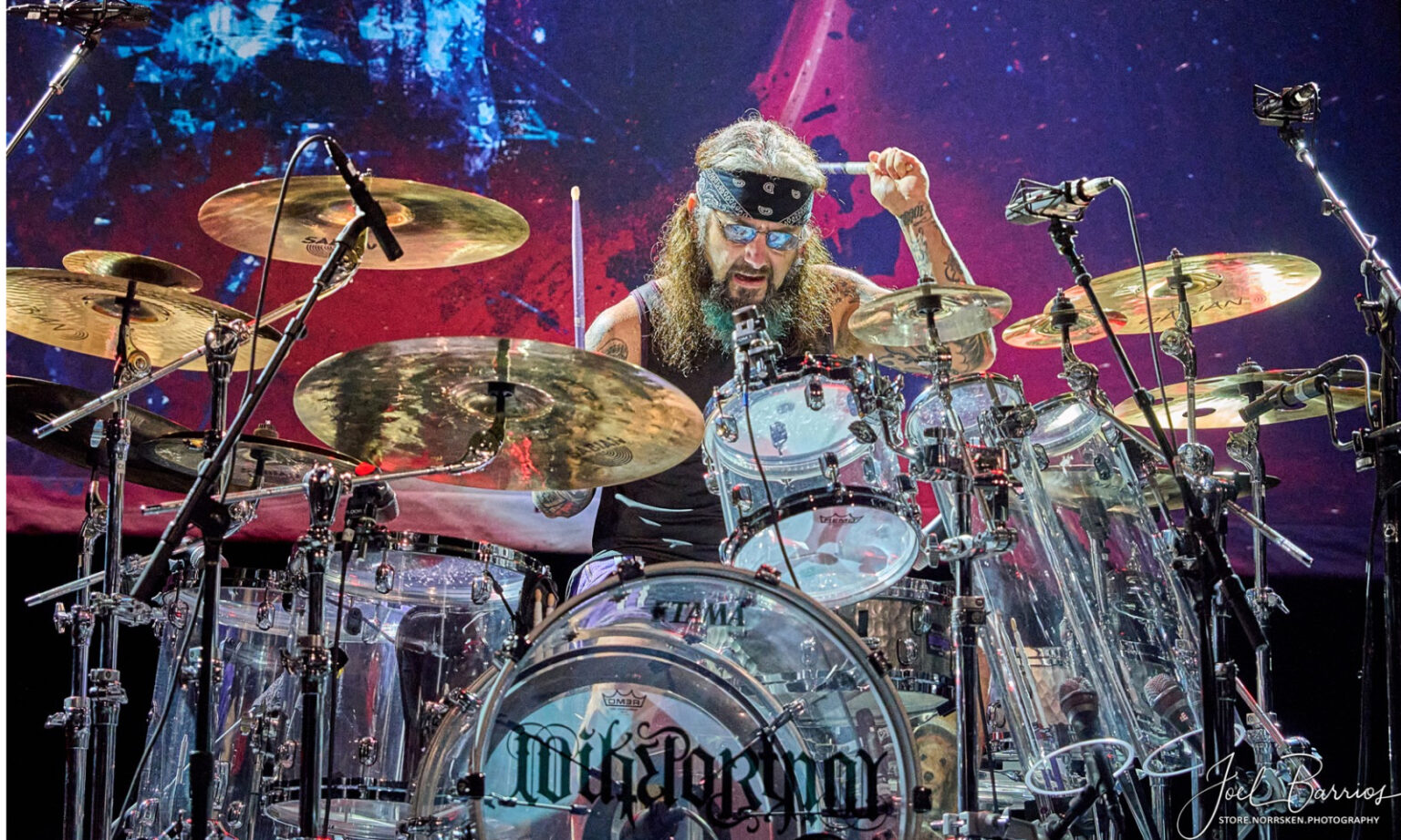 Bonedo - Das Musikerportal