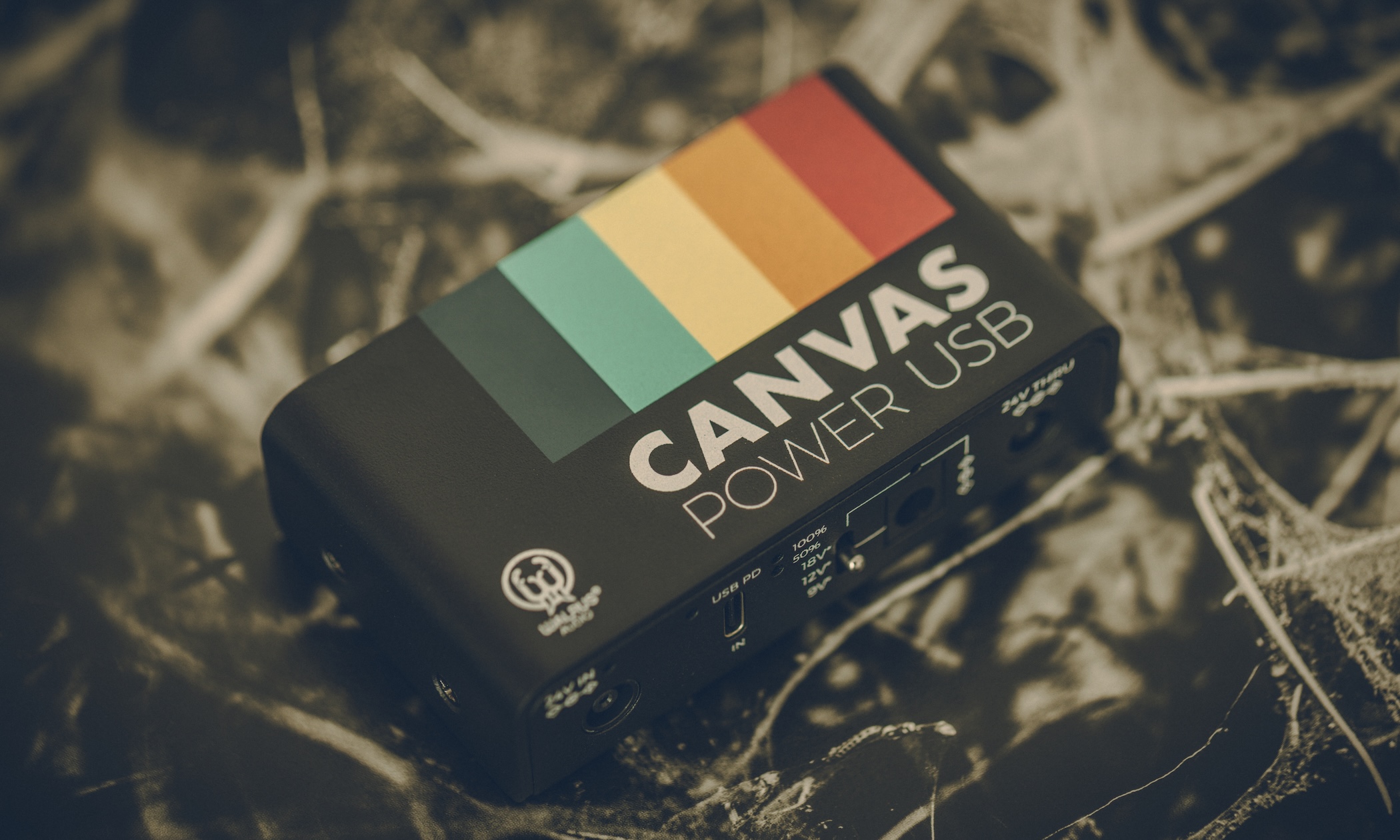 Walrus Audio Canvas Power USB Test - Bonedo